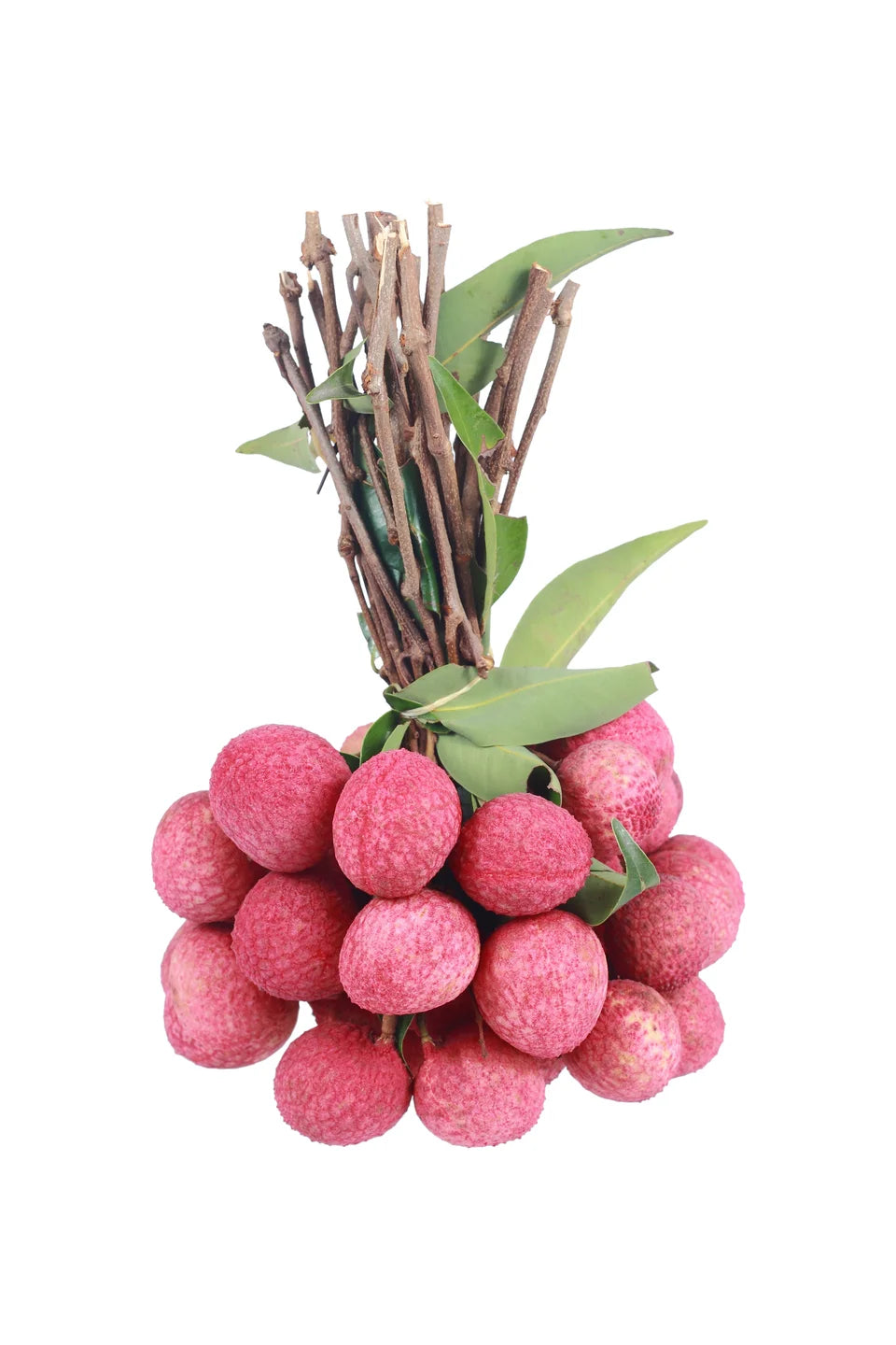 Lychee